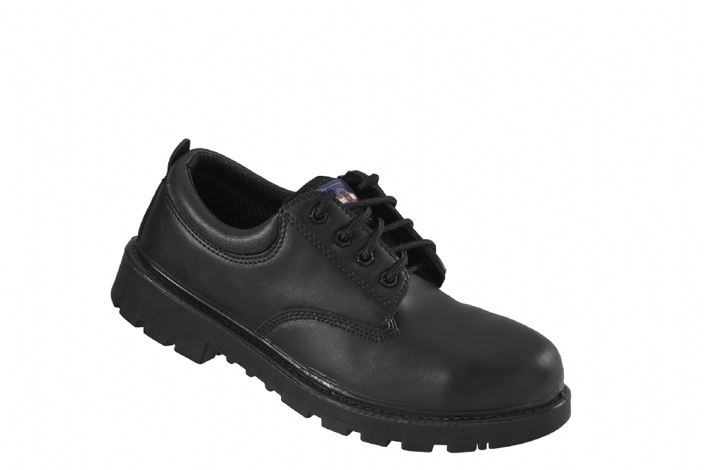 ProMan PM4004 Safety Shoe | Aston Pharma